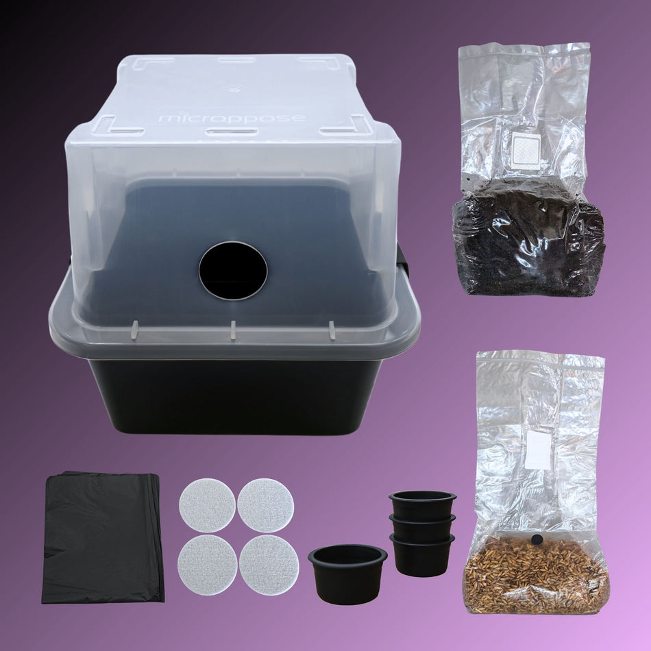 Microppose – MICROPPOSE