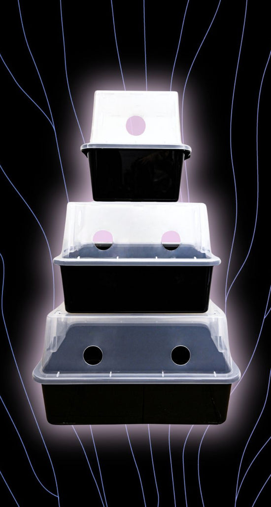 Microppose – MICROPPOSE