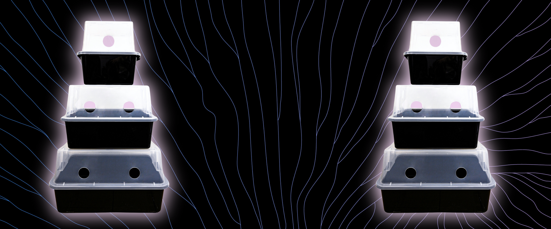 Microppose – MICROPPOSE