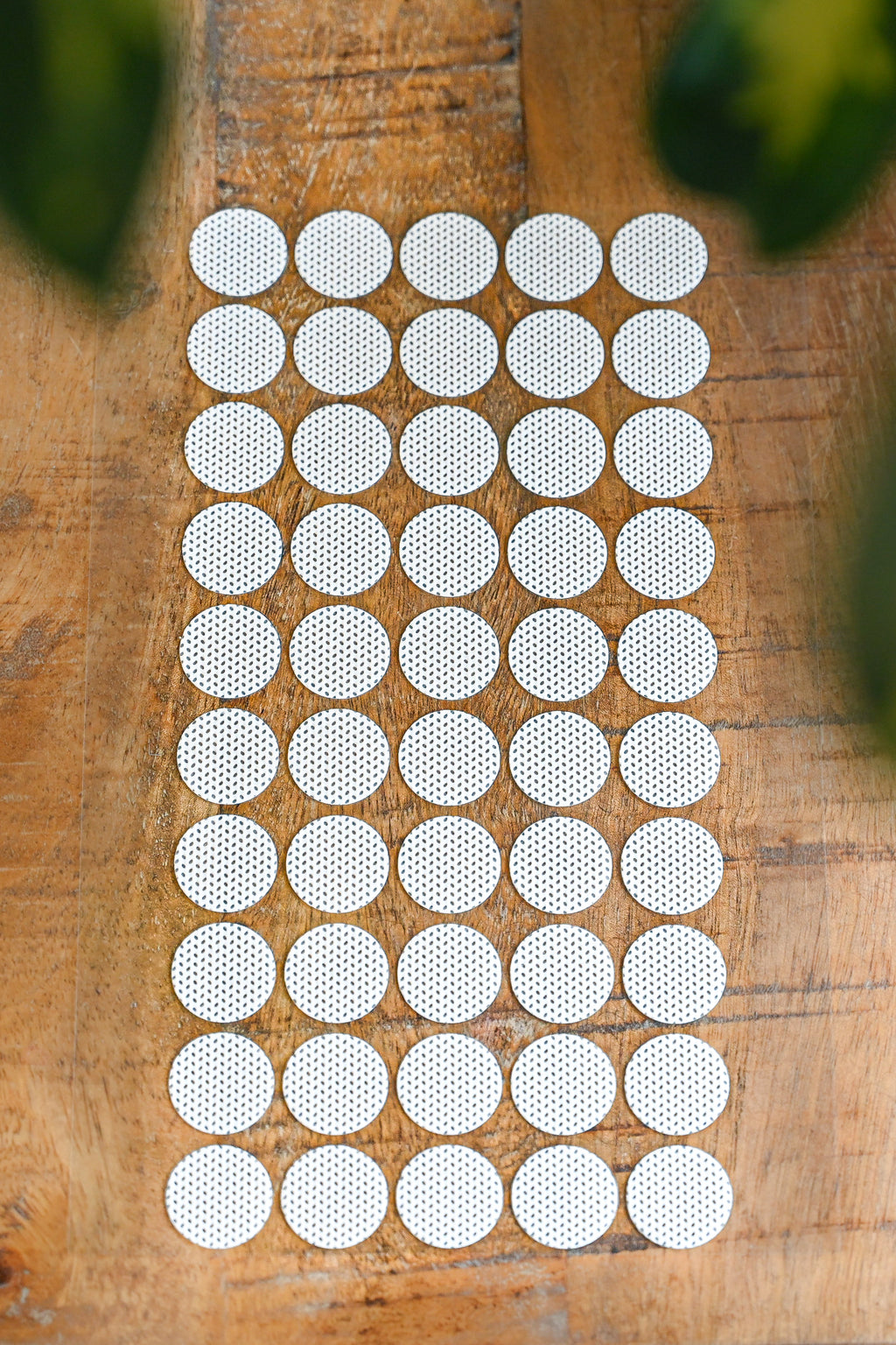 Adherable Lid Filters for Plant & Mushroom Tissue Culture | Microppose ...