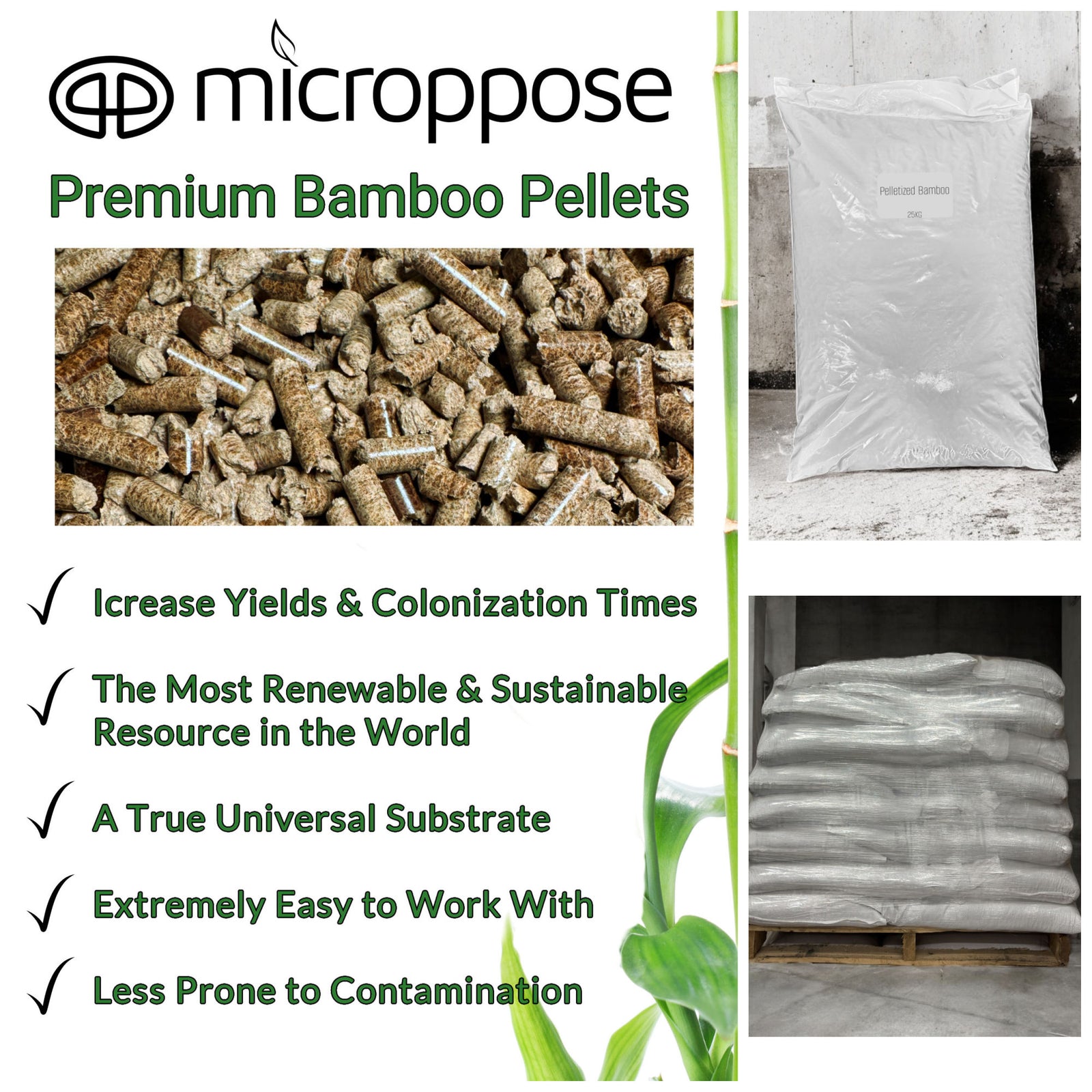 Raw Materials – MICROPPOSE