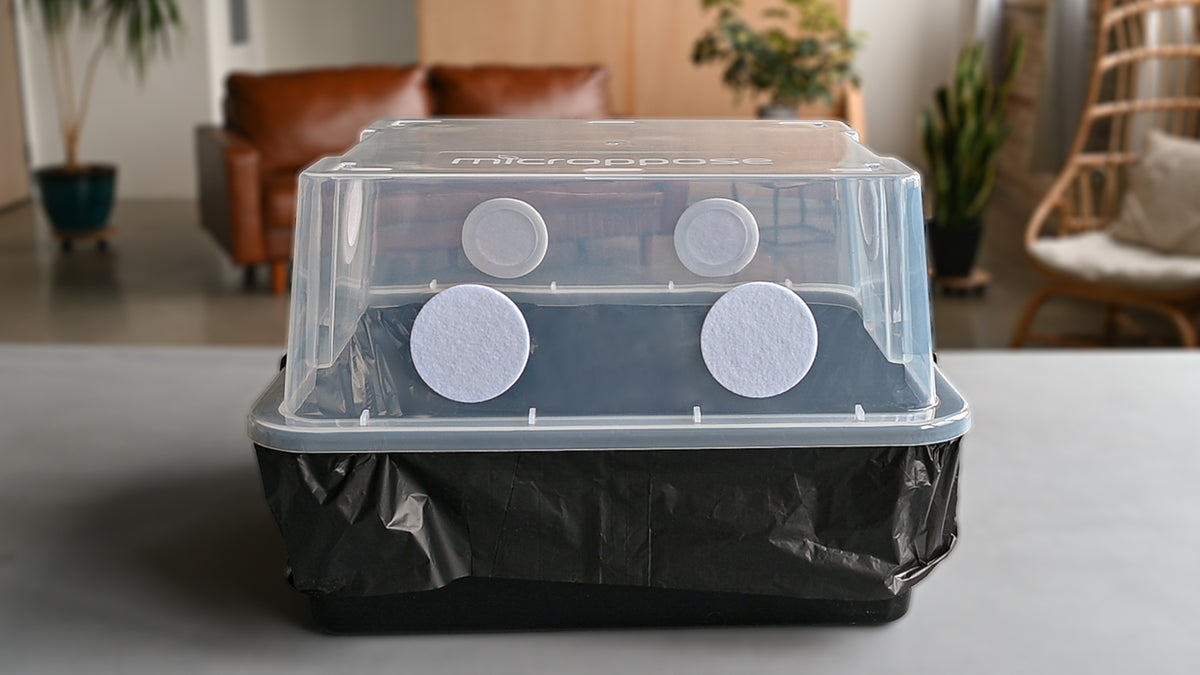 Medium Monotub – MICROPPOSE