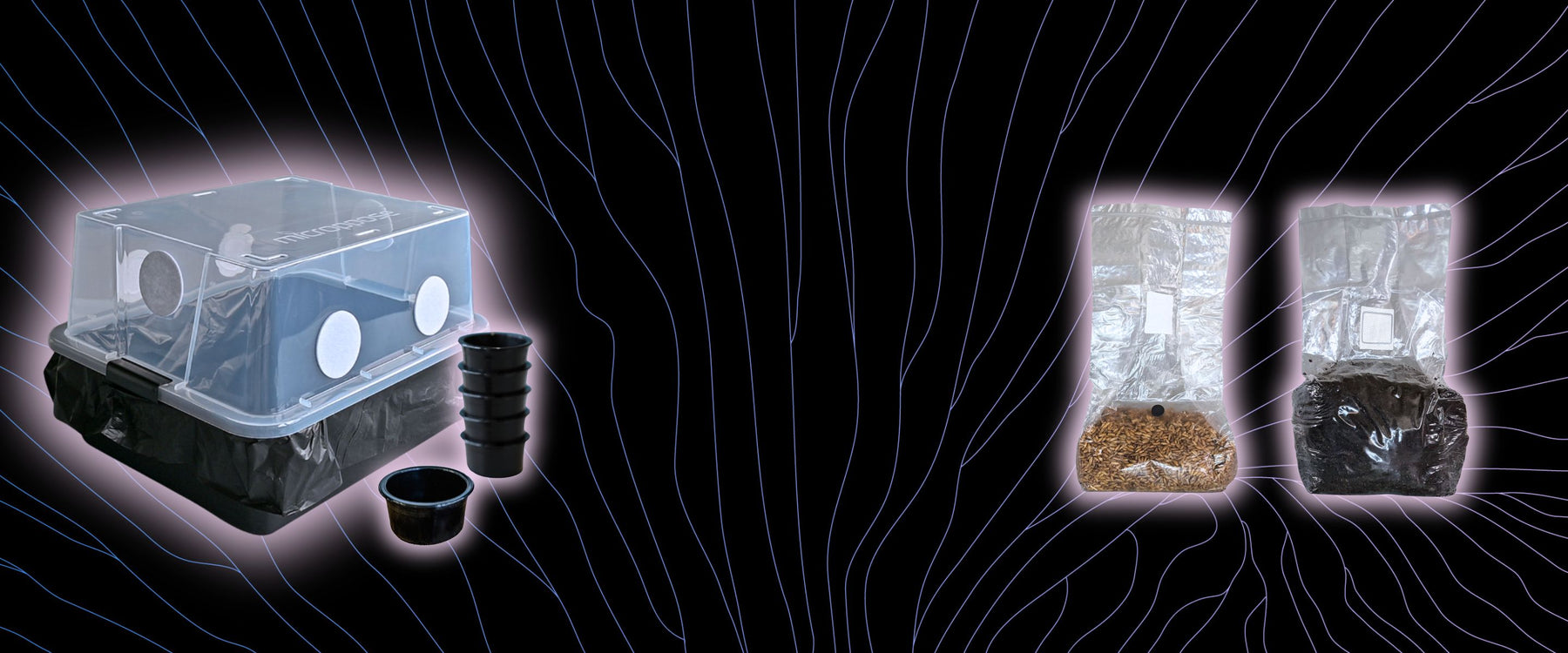 Microppose – MICROPPOSE